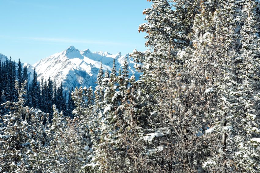 Banff Winter Itinerary Guide: Unforgettable Things To Do in Banff in Winter