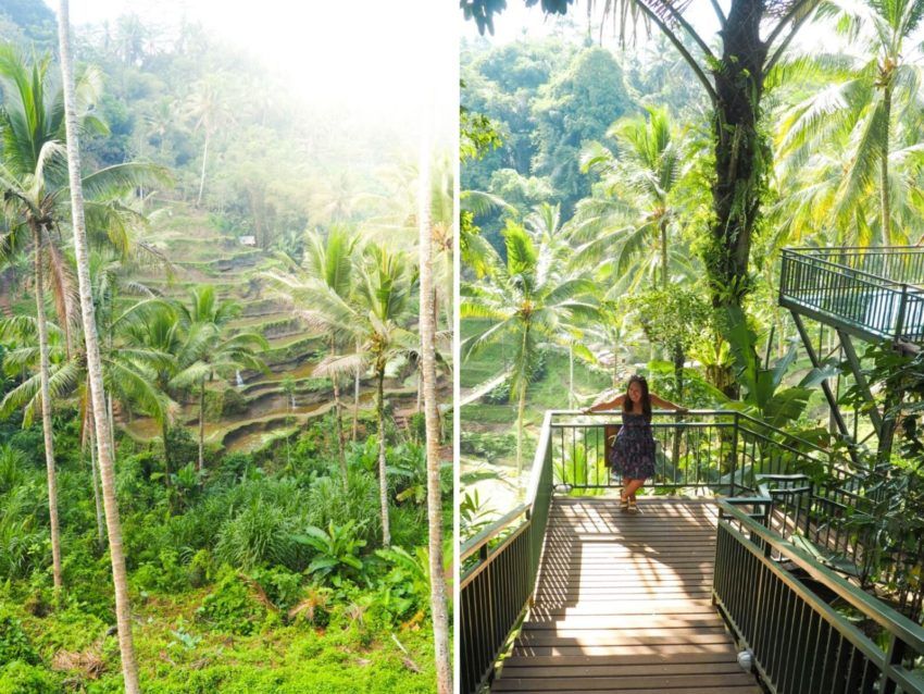 3 Days in Ubud: The Perfect Ubud Itinerary for Your Trip to the Bali Jungle
