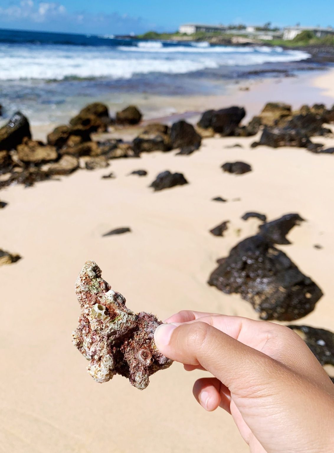 The Ultimate Hawaii Bucket List: 200 Epic Things to do in Hawaii