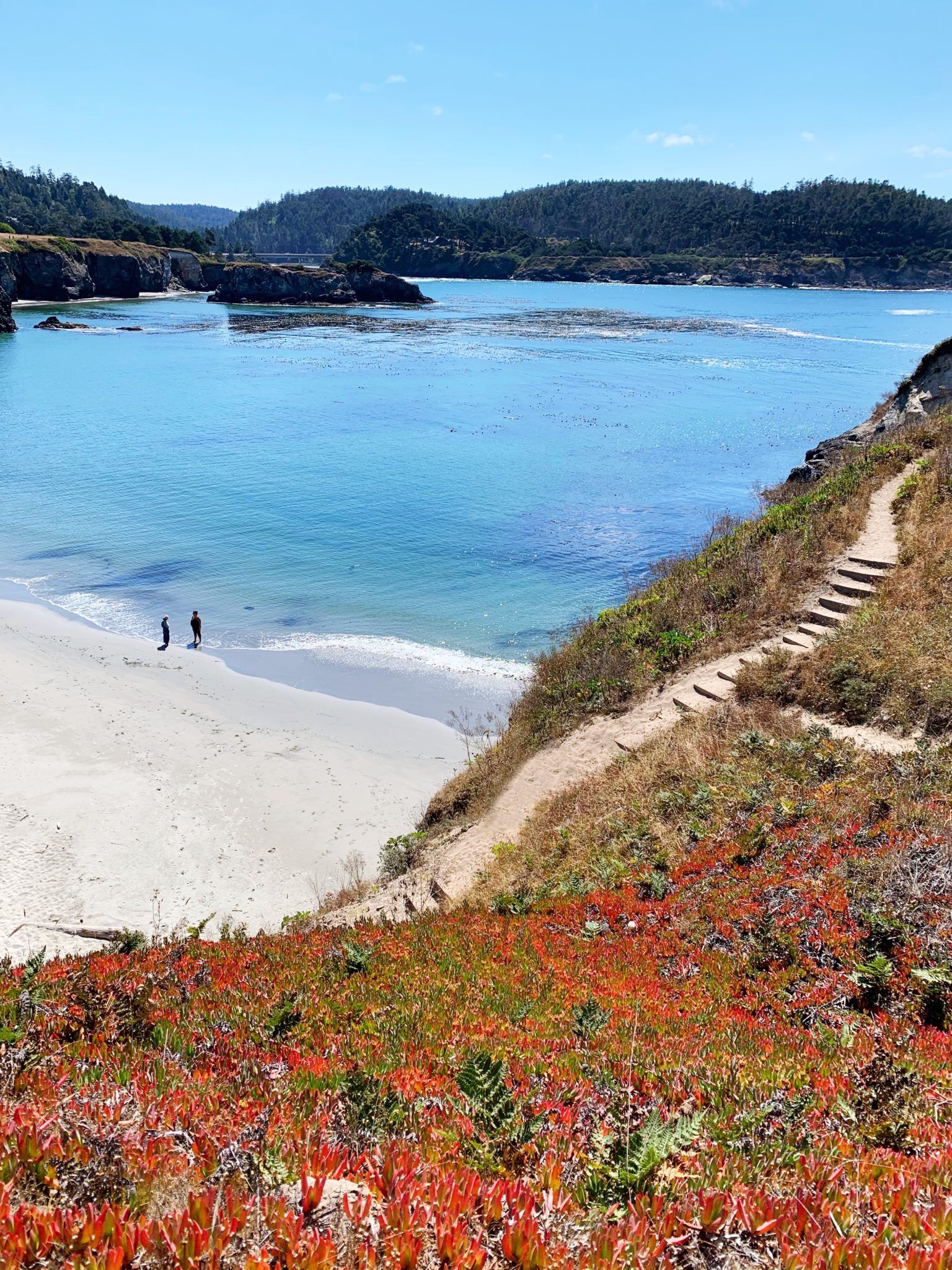 Things to do in Mendocino and Fort Bragg: The Ultimate Weekend Guide