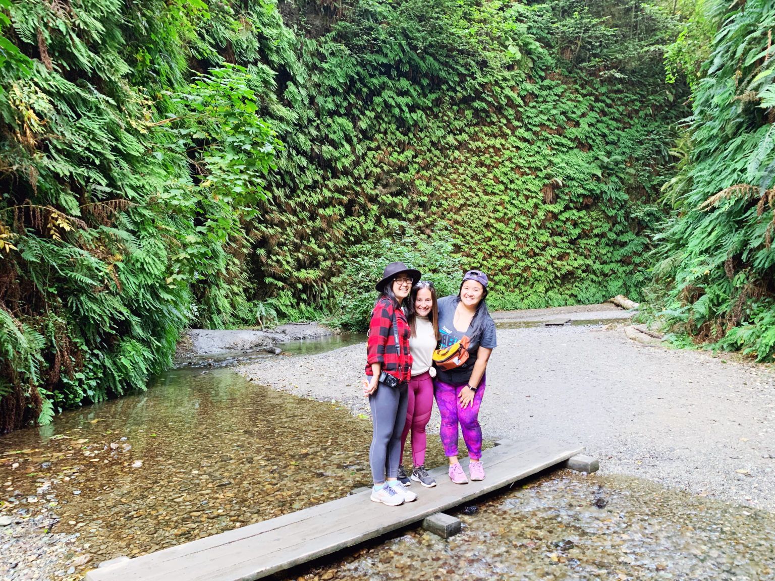 Hiking the Fern Canyon Trail: Everything You Need to Know (plus photos)