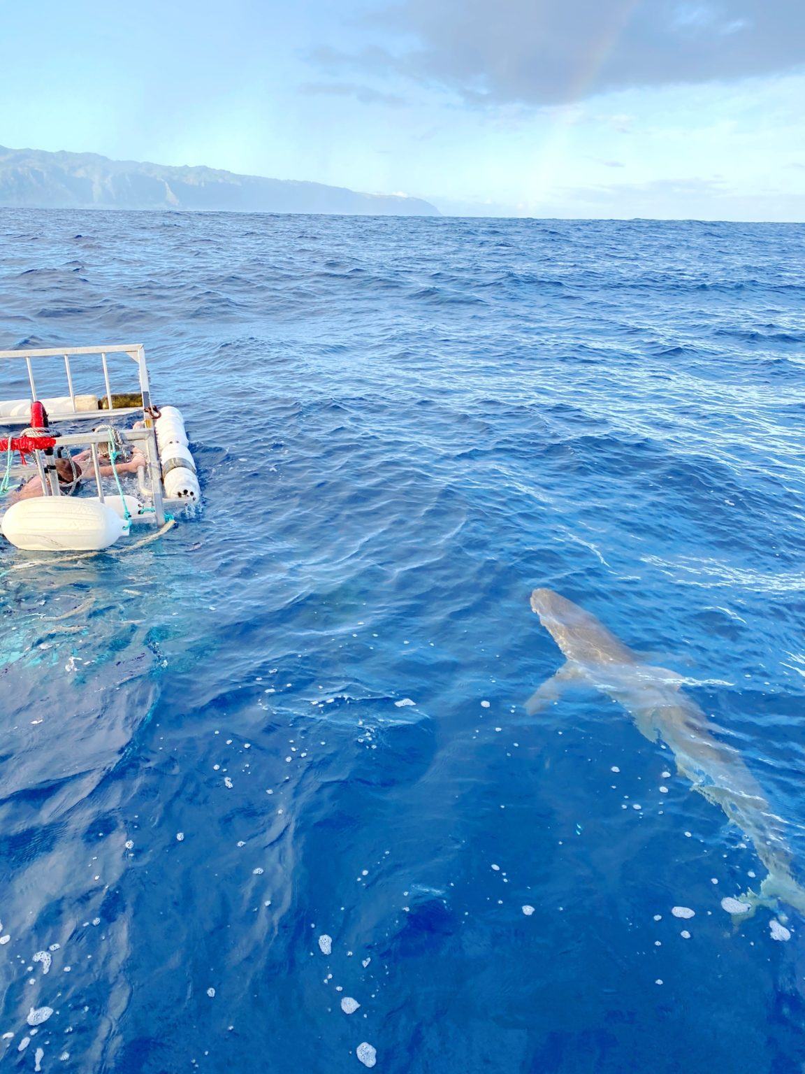 The Best Things to do on the North Shore of Oahu (MASSIVE GUIDE)