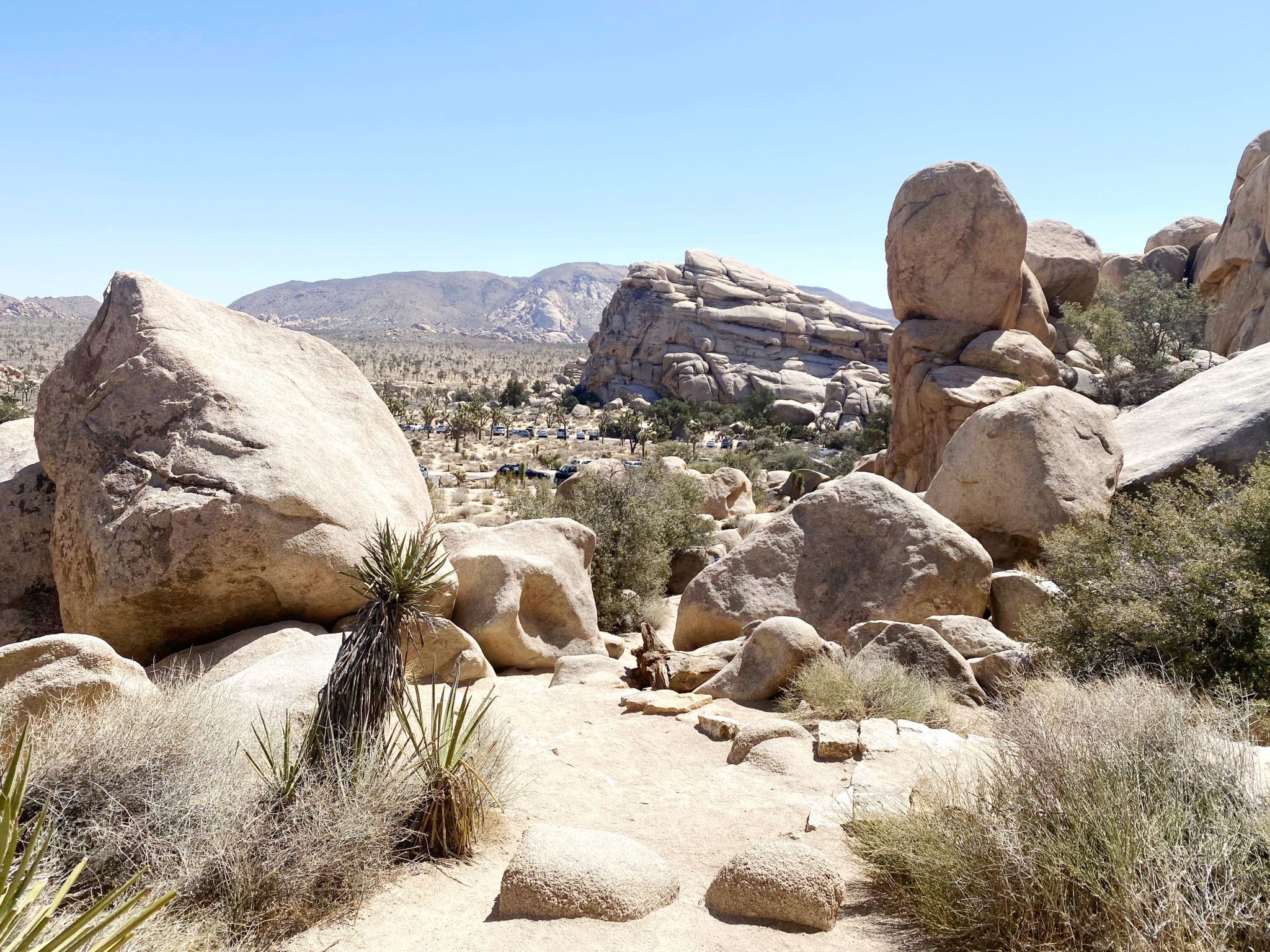 Hidden-Valley-Joshua-Tree • A Passion and A Passport