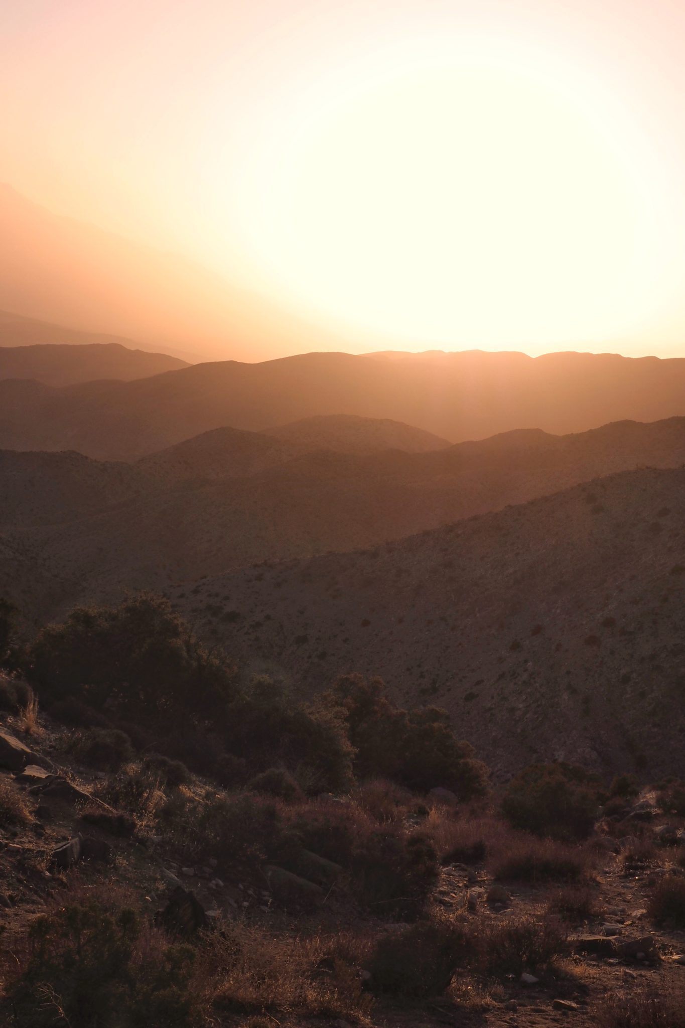 The Perfect Day Trip to Joshua Tree National Park: Everything You Need ...