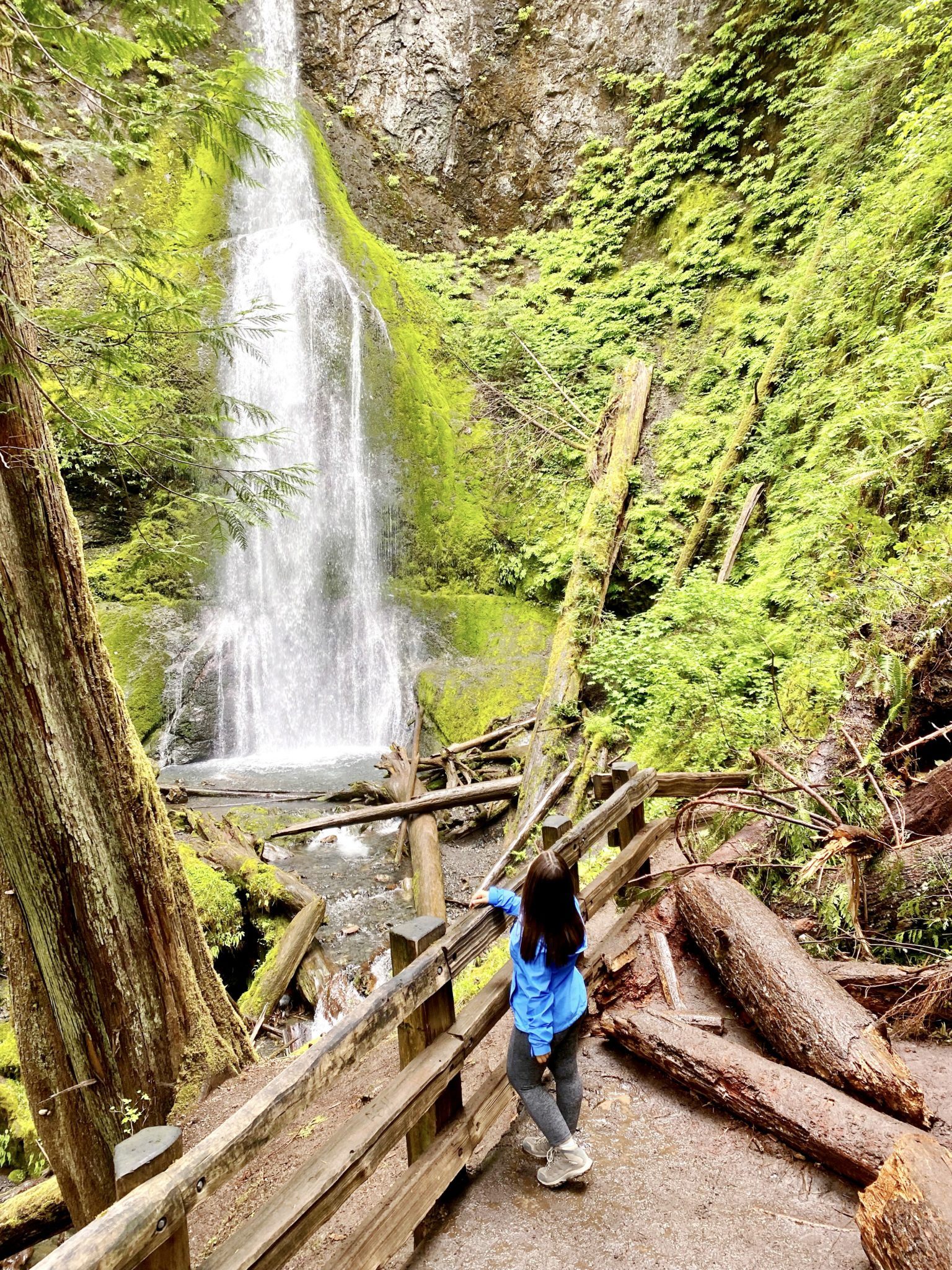 Marymere-Falls-Hike-Olympic-National-Park-3 • A Passion and A Passport