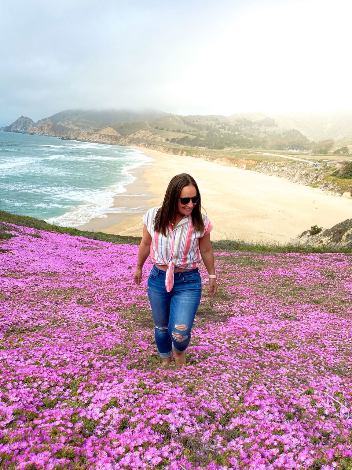 20+ Gardens + Flower Fields in San Francisco Bay Area (+ When to Go!)