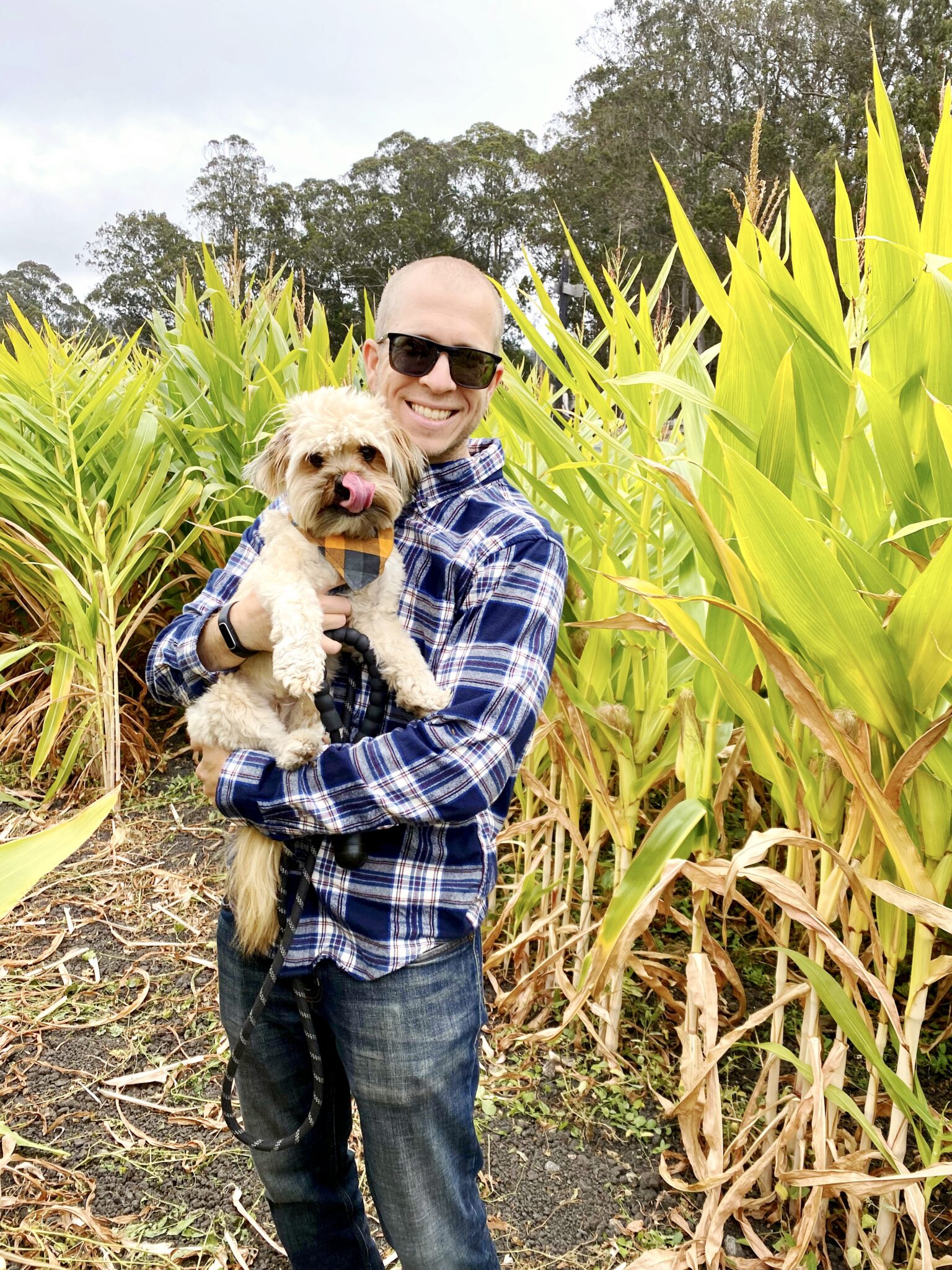 Fall in San Francisco: 25+ Fall Activities in the SF Bay Area