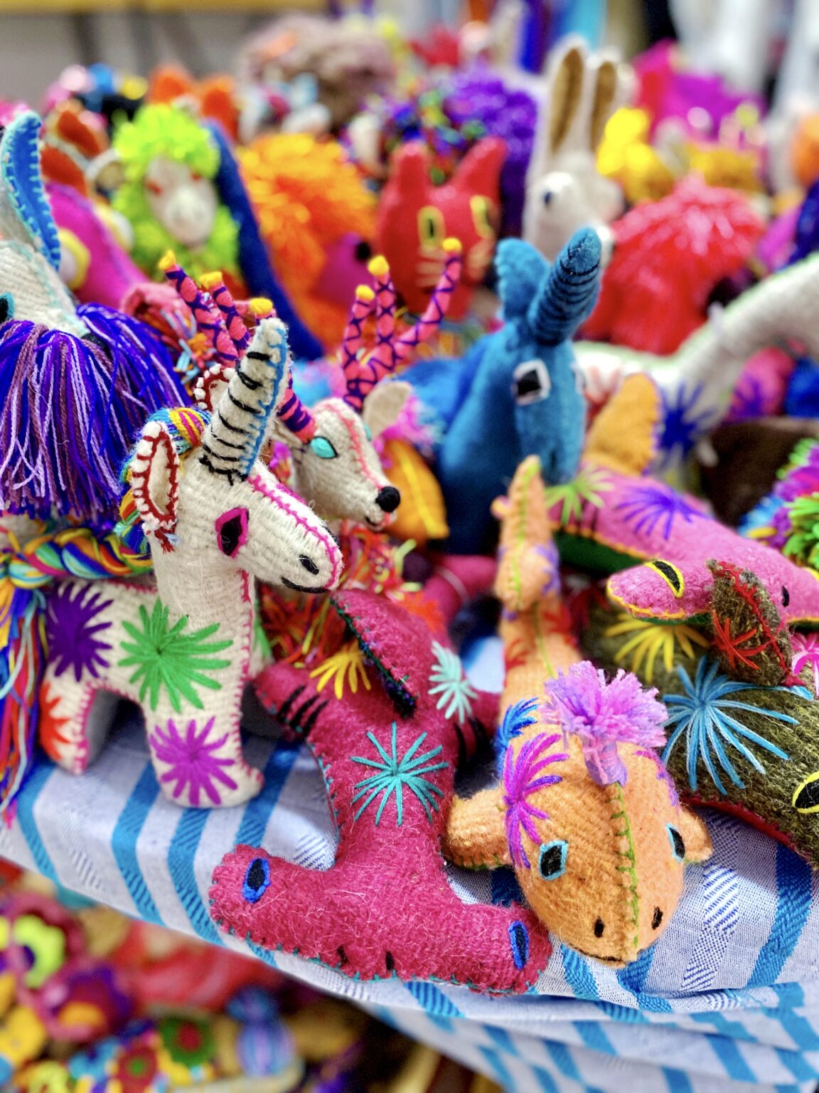 21 Things to do in San Jose del Cabo: Travel Guide and Cabo Itinerary