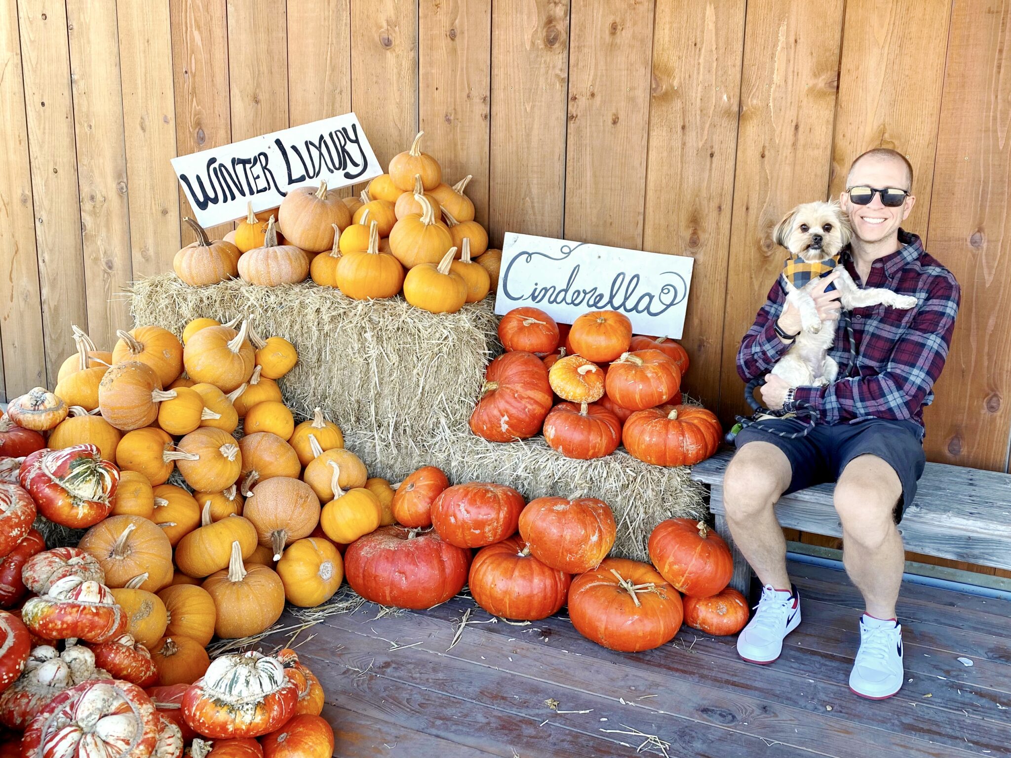 Pumpkin Patches in Half Moon Bay: My Favorite Fall Pumpkin Farms