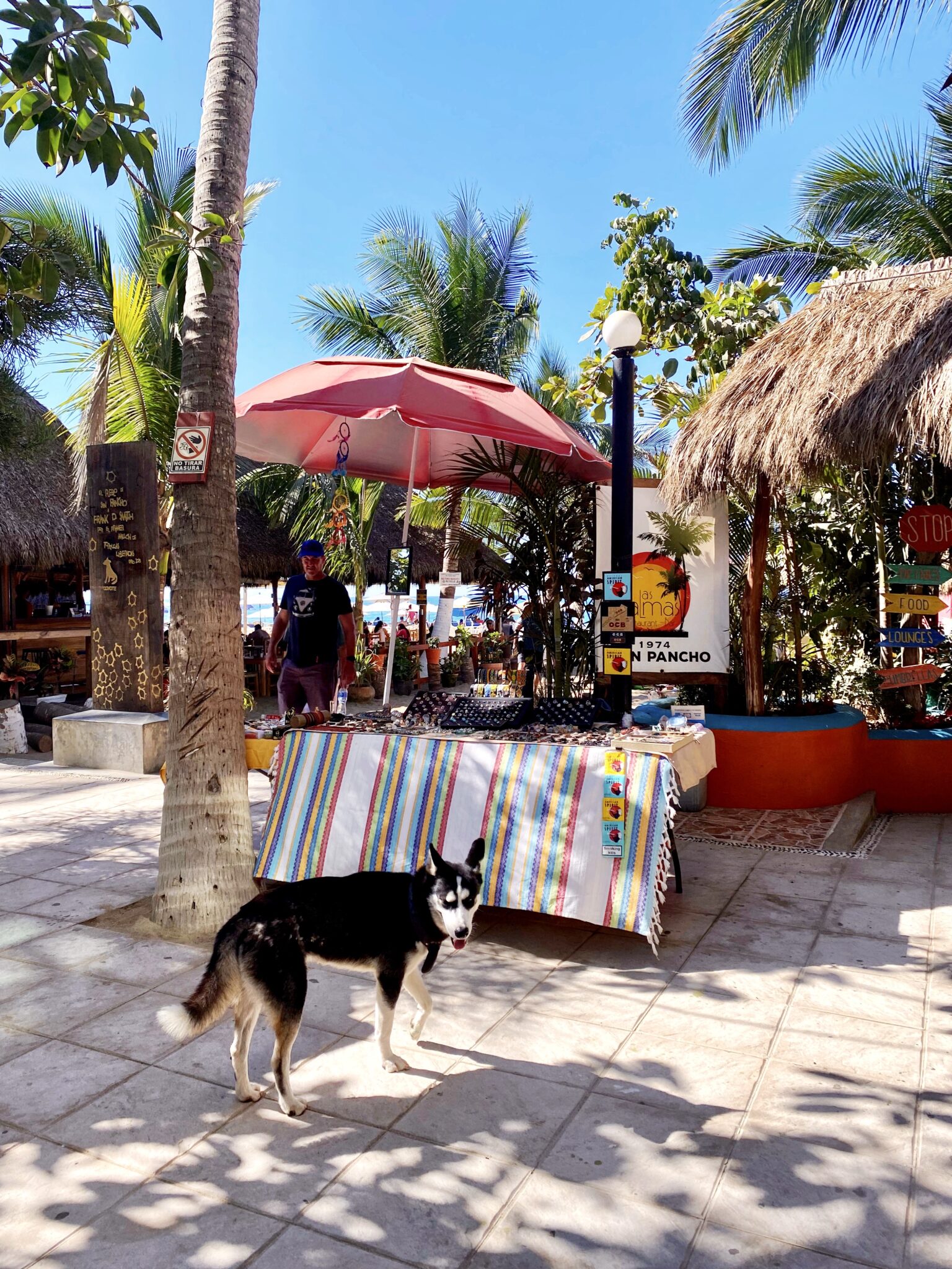 Things to do in San Pancho, Nayarit: Mexico's Hippy Hidden Gem
