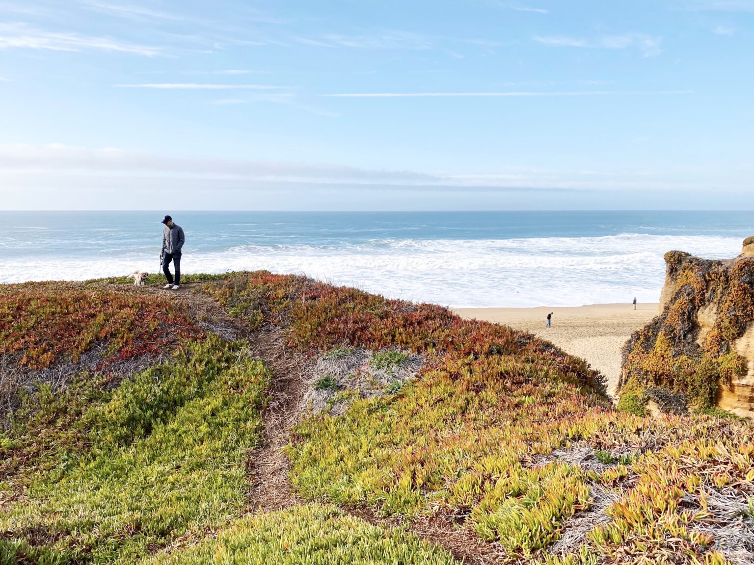 All The Best Beaches in Half Moon Bay: The Bay Area’s Favorite Coastline