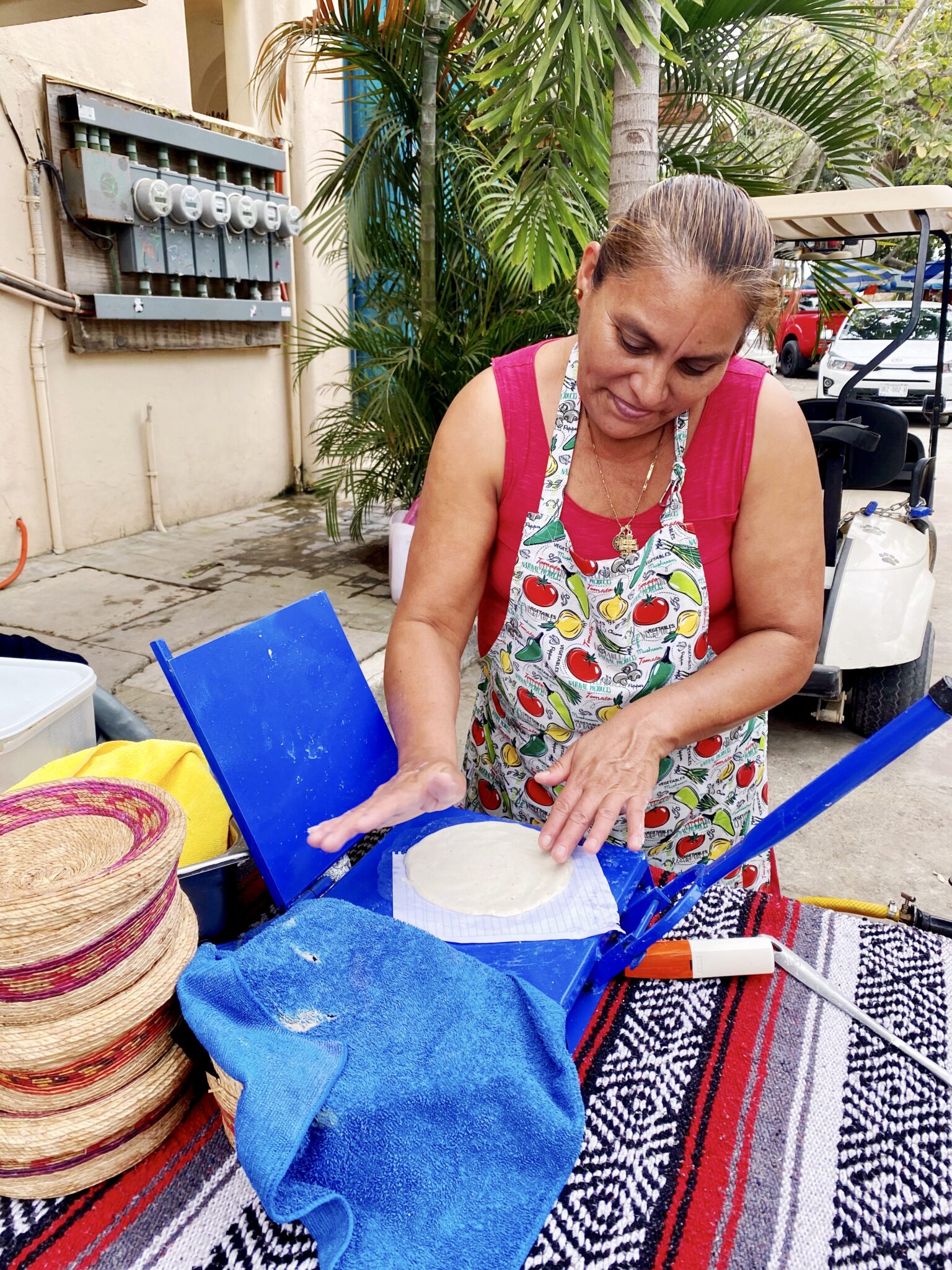 Things to do in San Pancho, Nayarit: Mexico's Hippy Hidden Gem