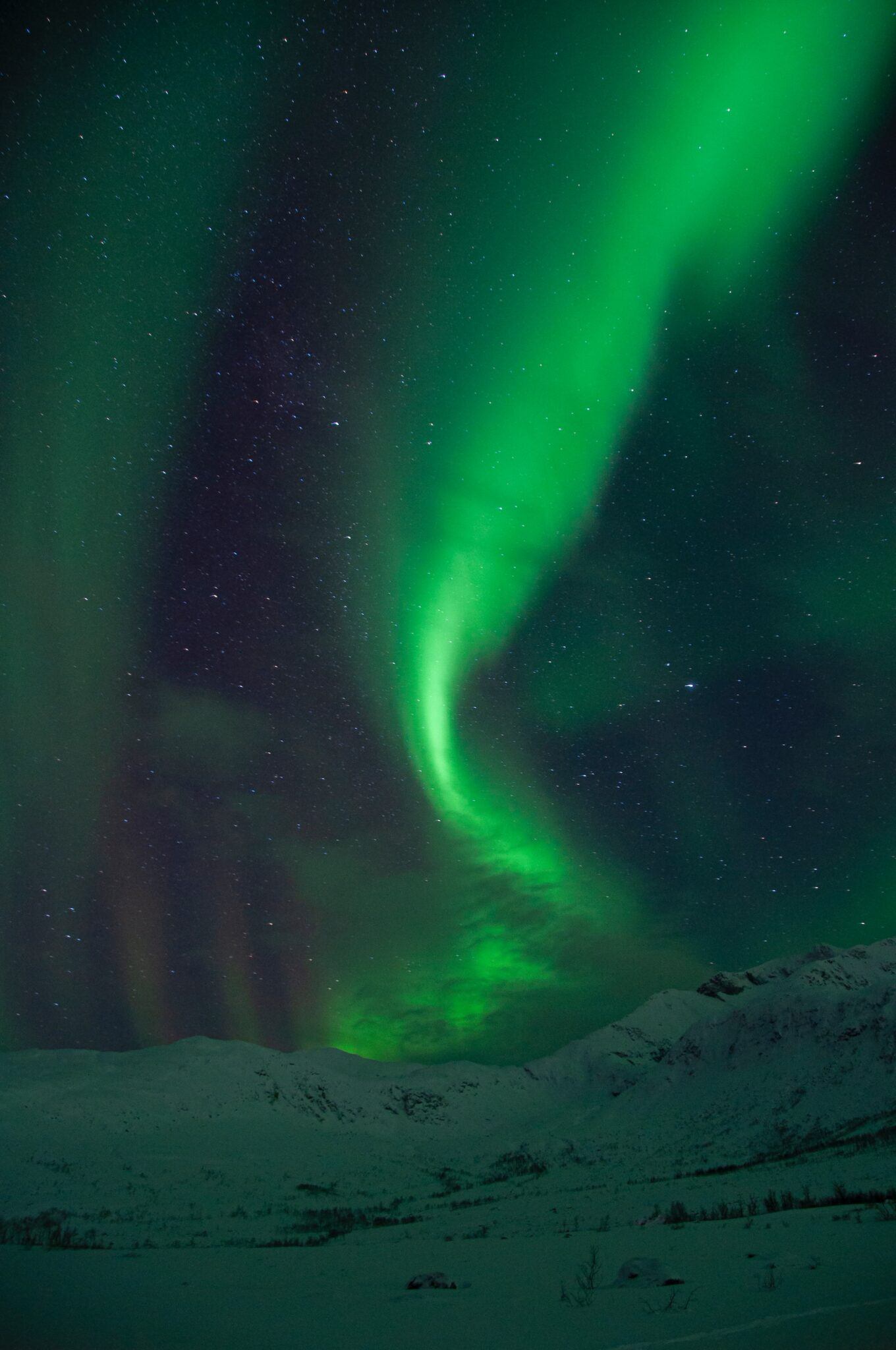Best Things to do in Winter in Tromso (Full Guide + Insider Tips)
