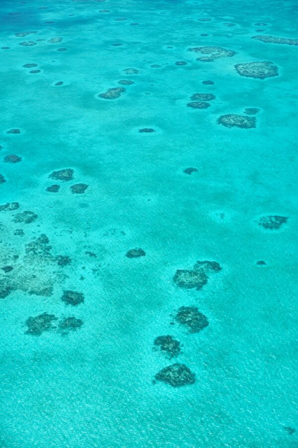 A Scenic Blue Hole Tour in Belize: Everything You Need to Know