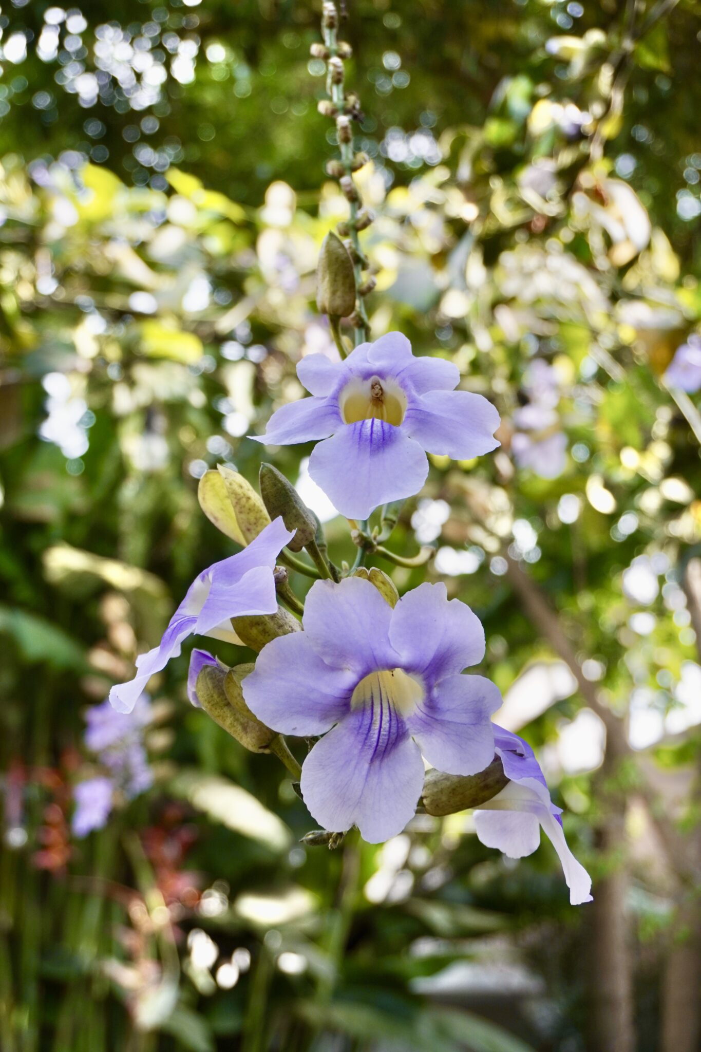 10 Days in Guatemala: A Perfect First-Timer’s Guatemala Itinerary