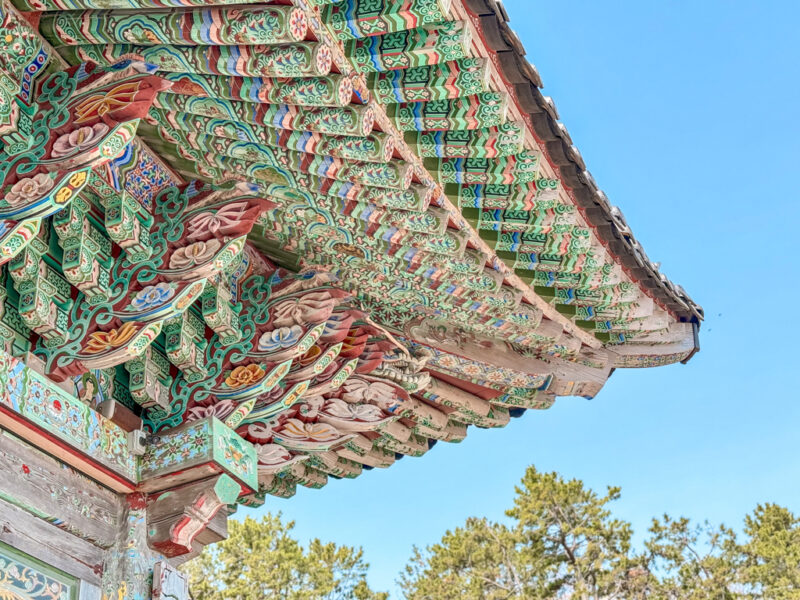 The Best Busan Itinerary: 3 Days in Busan, South Korea