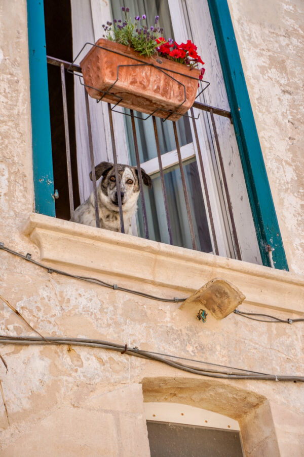 One Day Matera Itinerary: Things to do and Full Sassi Guide (Italy)